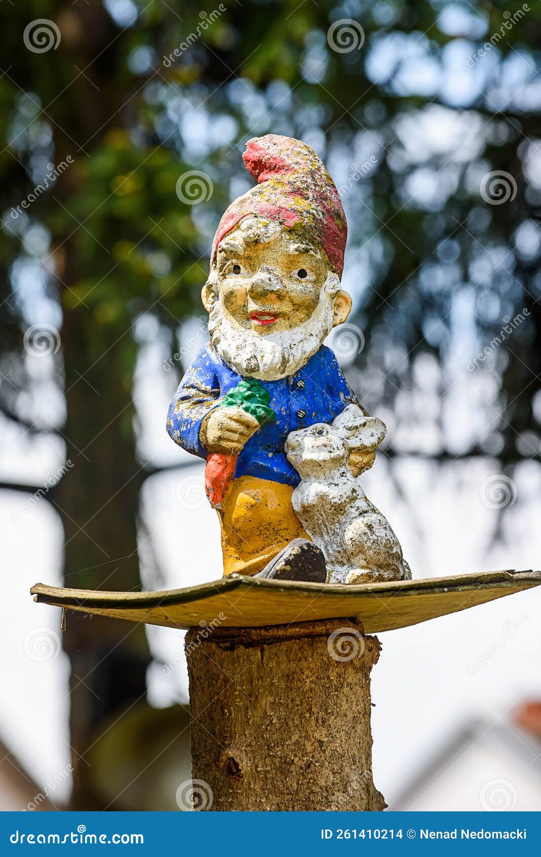 A Gnome Dwarf Statue in the Garden Stock Photo - Image of color ...