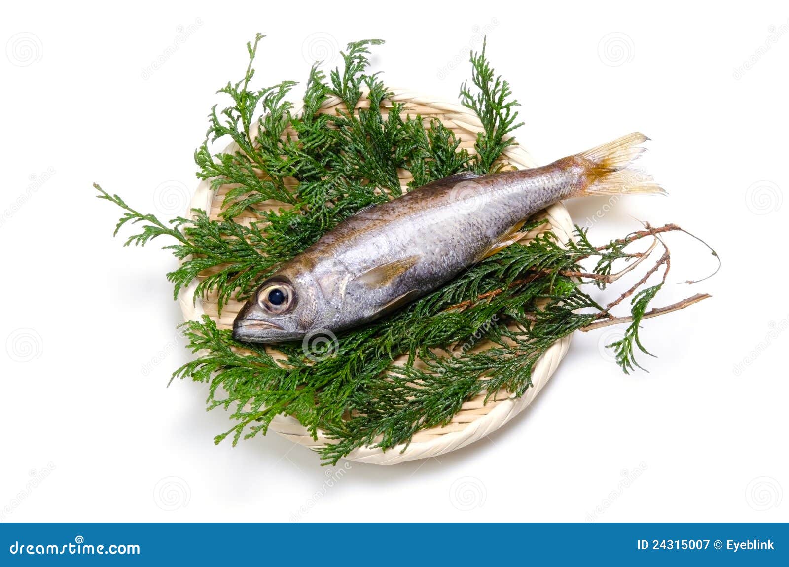 Gnomefish stock image. Image of restaurant, green, organic - 24315007