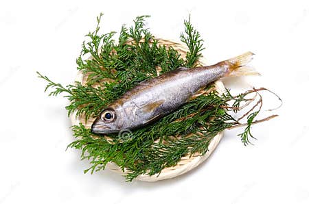 Gnomefish stock image. Image of restaurant, green, organic - 24315007