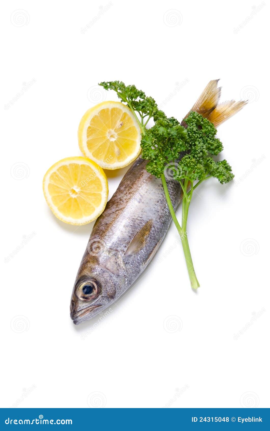 Gnomefish foto de archivo. Imagen de animal, fresco, cena - 24315048