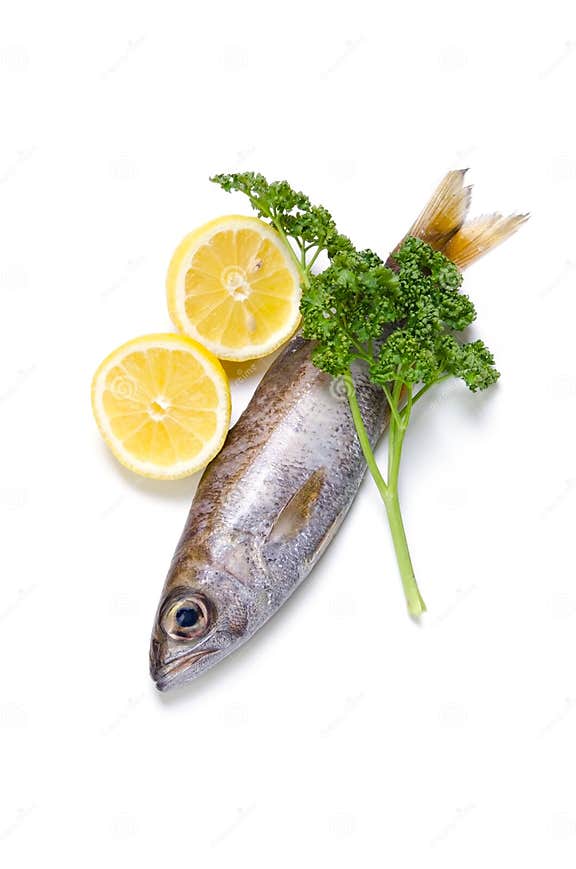 Gnomefish stock photo. Image of isolated, eating, meal - 24315048