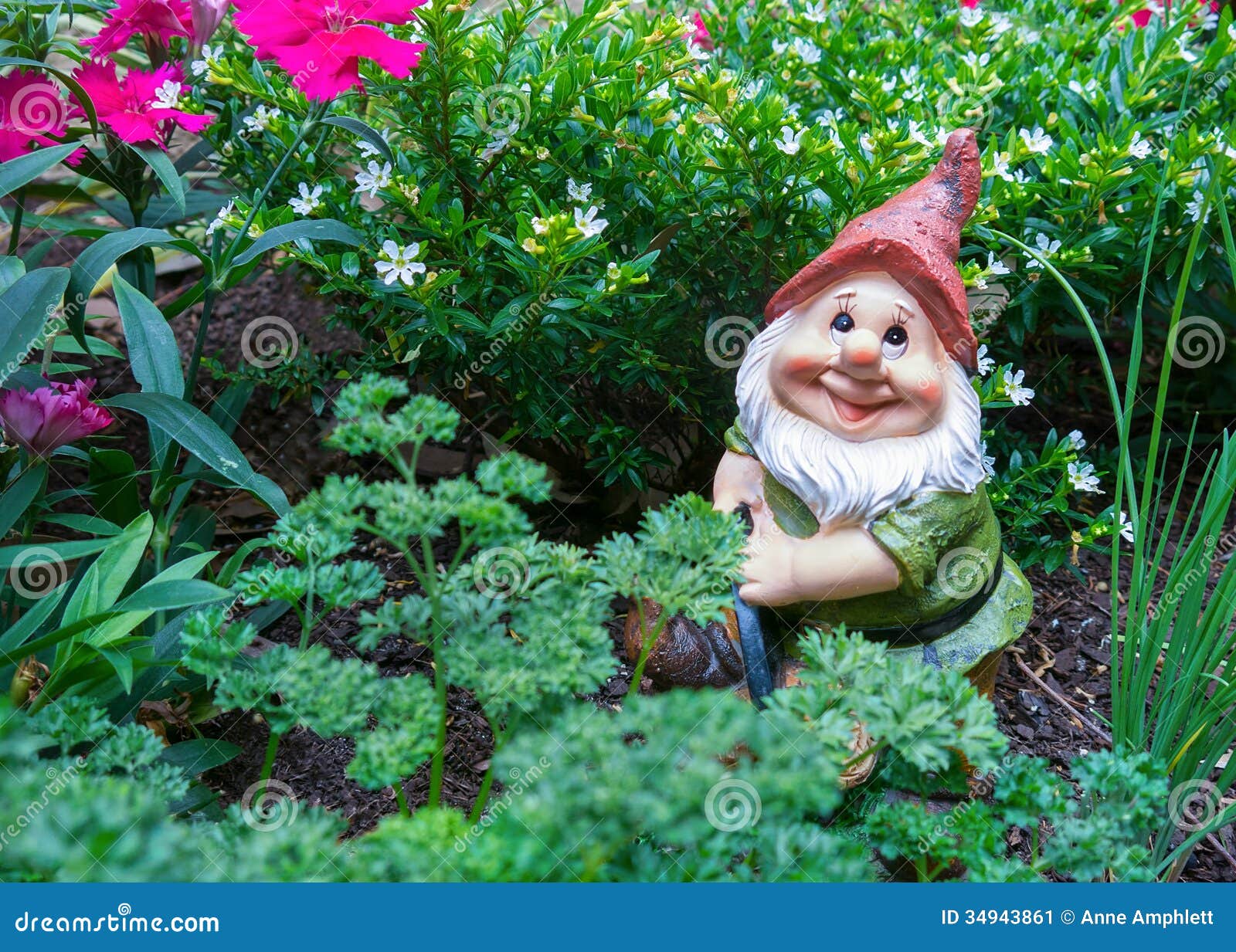 Gnomo no jardim imagem de stock. Imagem de novidade, jardim - 34943861