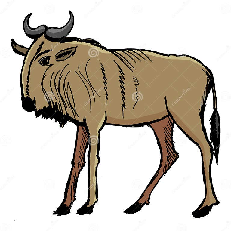 Gnu, african animal stock illustration. Illustration of nature - 66225550