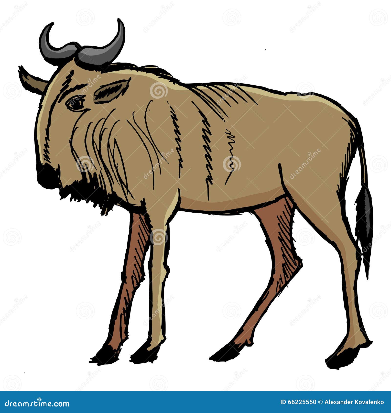 Gnu, afrikanisches Tier stock abbildung. Illustration von dschungel ...