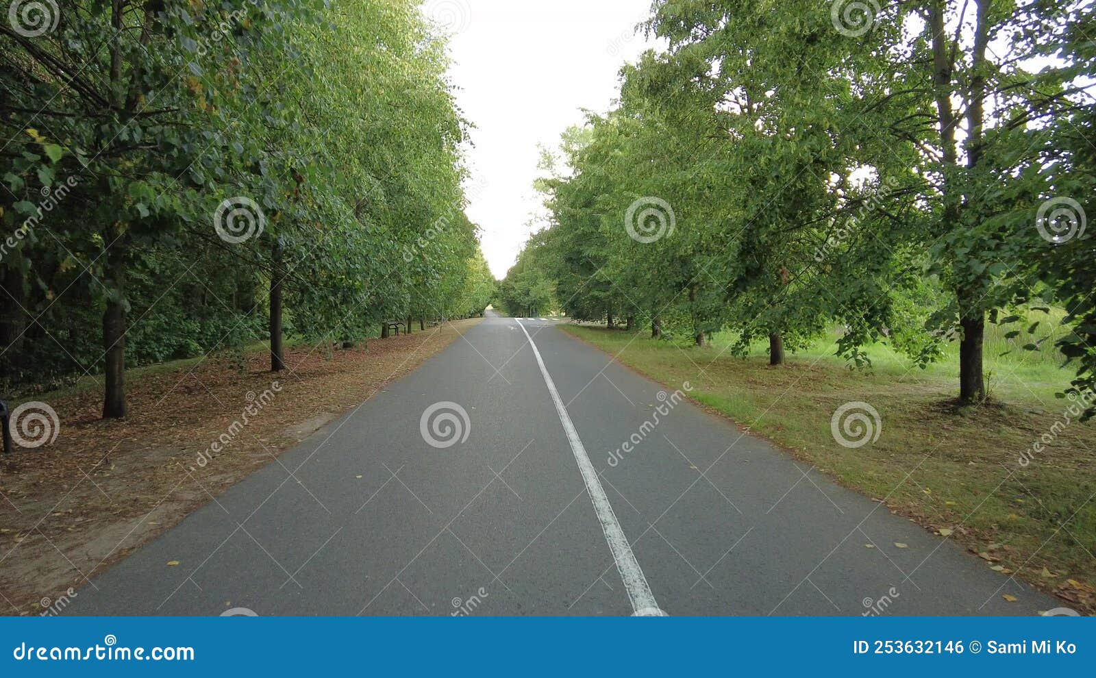 Go down the road in August stock footage. Video of view - 253632146