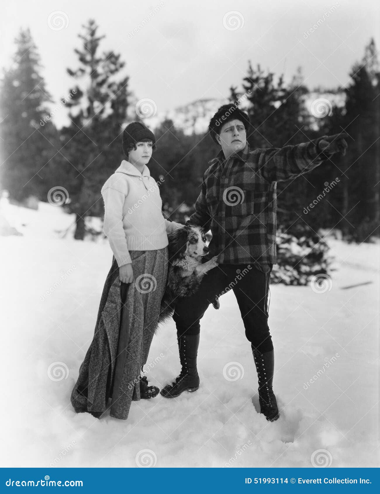 GO FETCH stock photo. Image of command, country, domesticated - 51993114