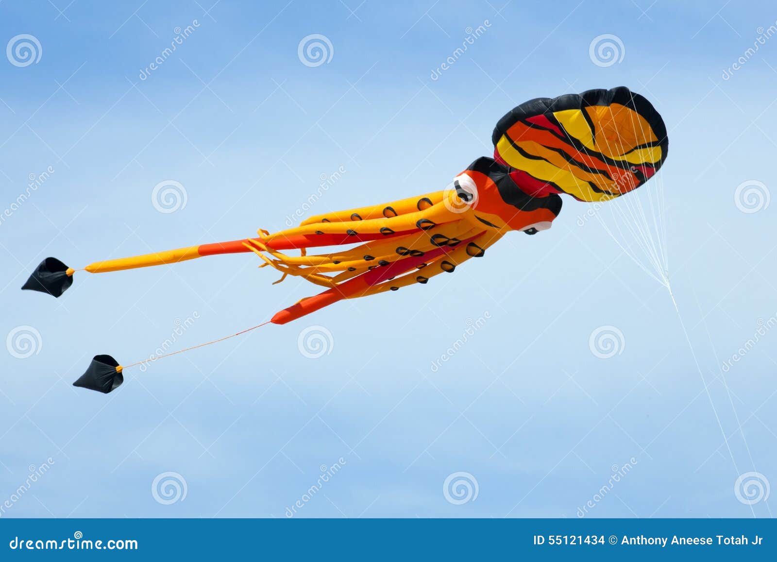 Go fly a squid kite stock photo. Image of colorful, kite - 55121434