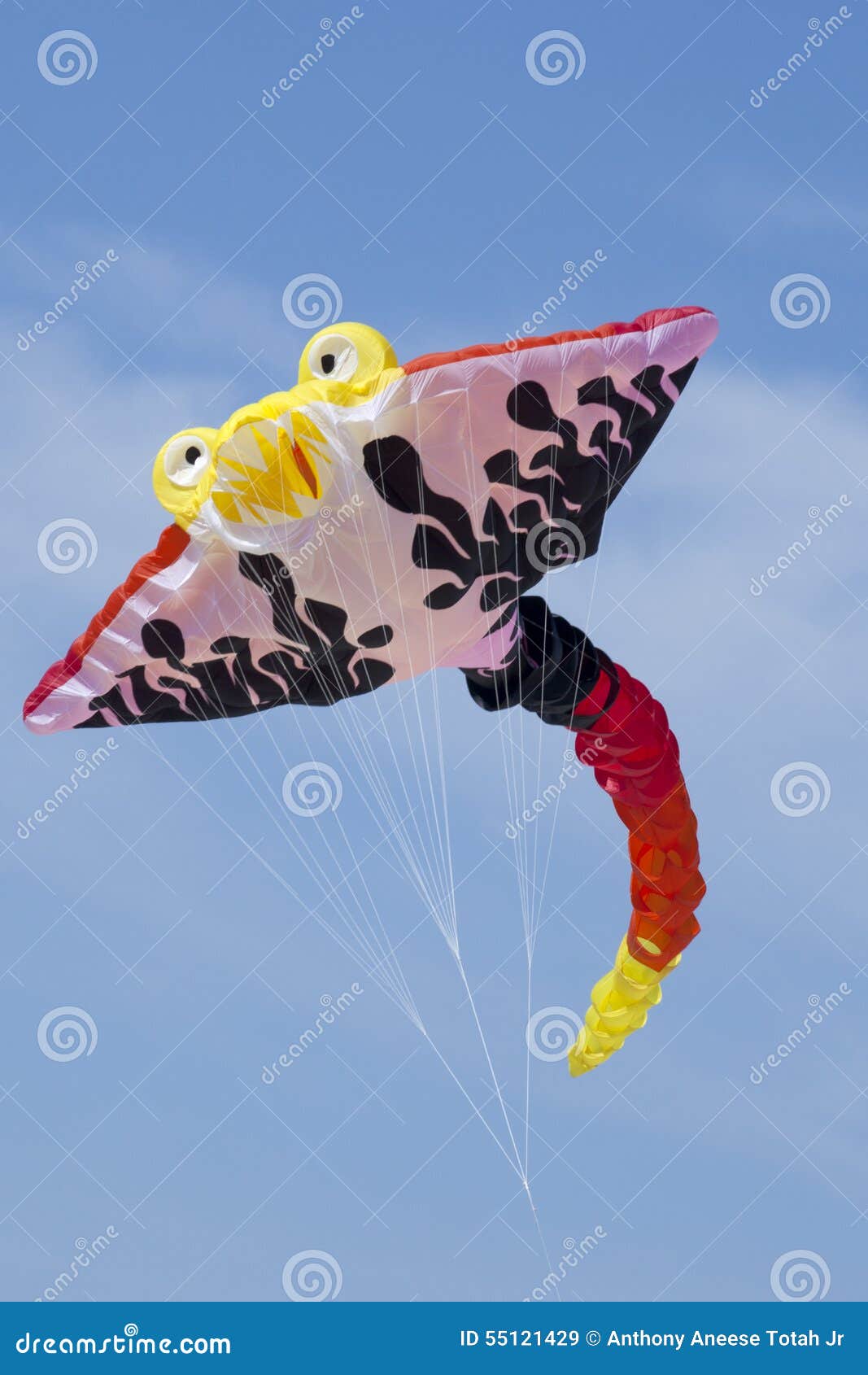Go fly a stingray kite editorial stock image. Image of intensity - 55121429