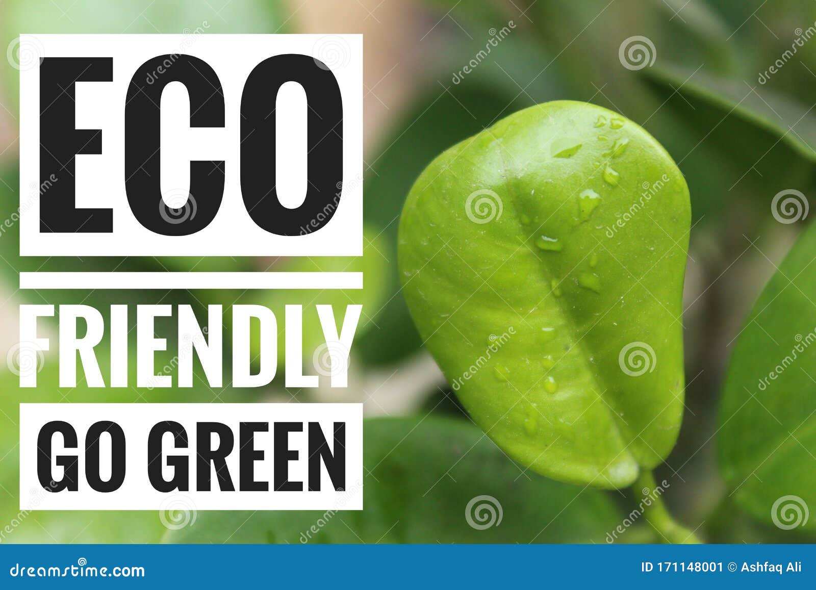 Go Green. Eco Friendly Background with Leaves Stock Illustration ...