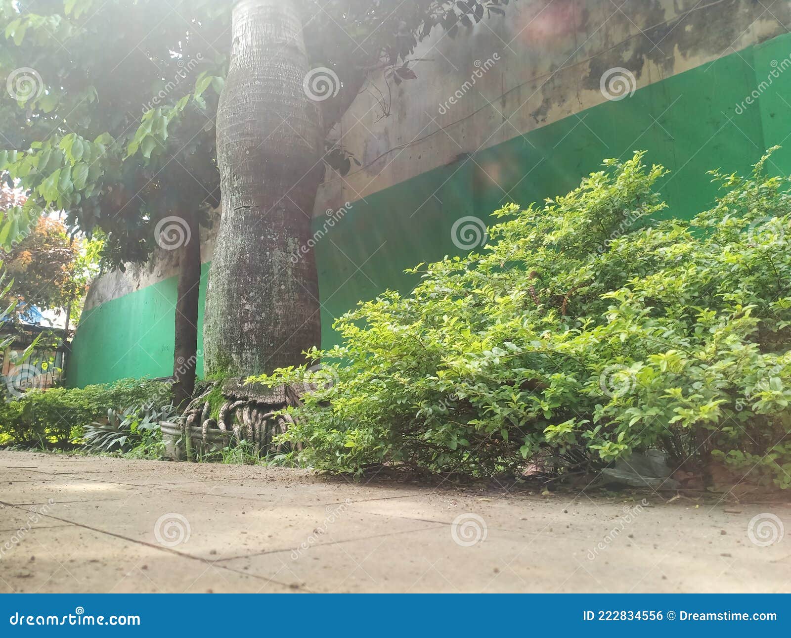 Go Green Safe Earth stock photo. Image of road, infrastructure - 222834556