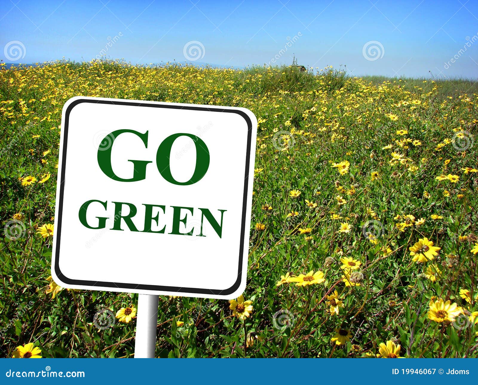Go Green Sign Field of Flowers Stock Image - Image of meadow, sign ...