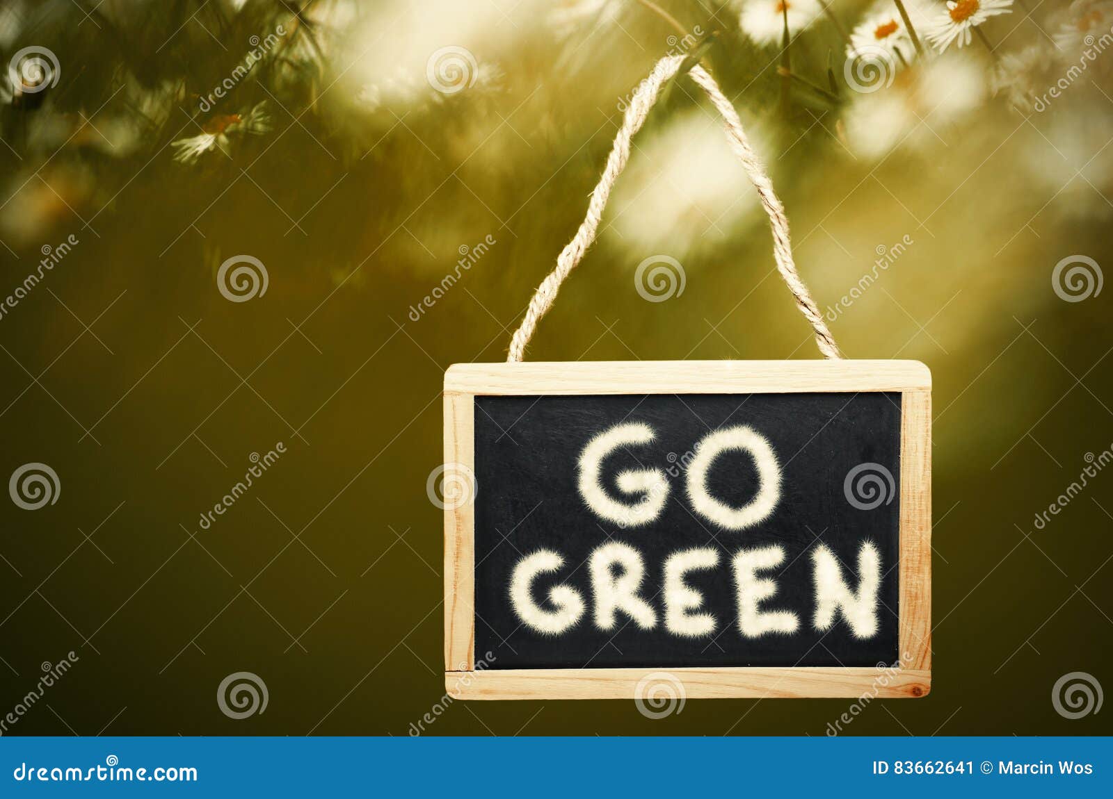 Go Green Written on Black Chalk Board Hanging from a Tree. Stock Image ...
