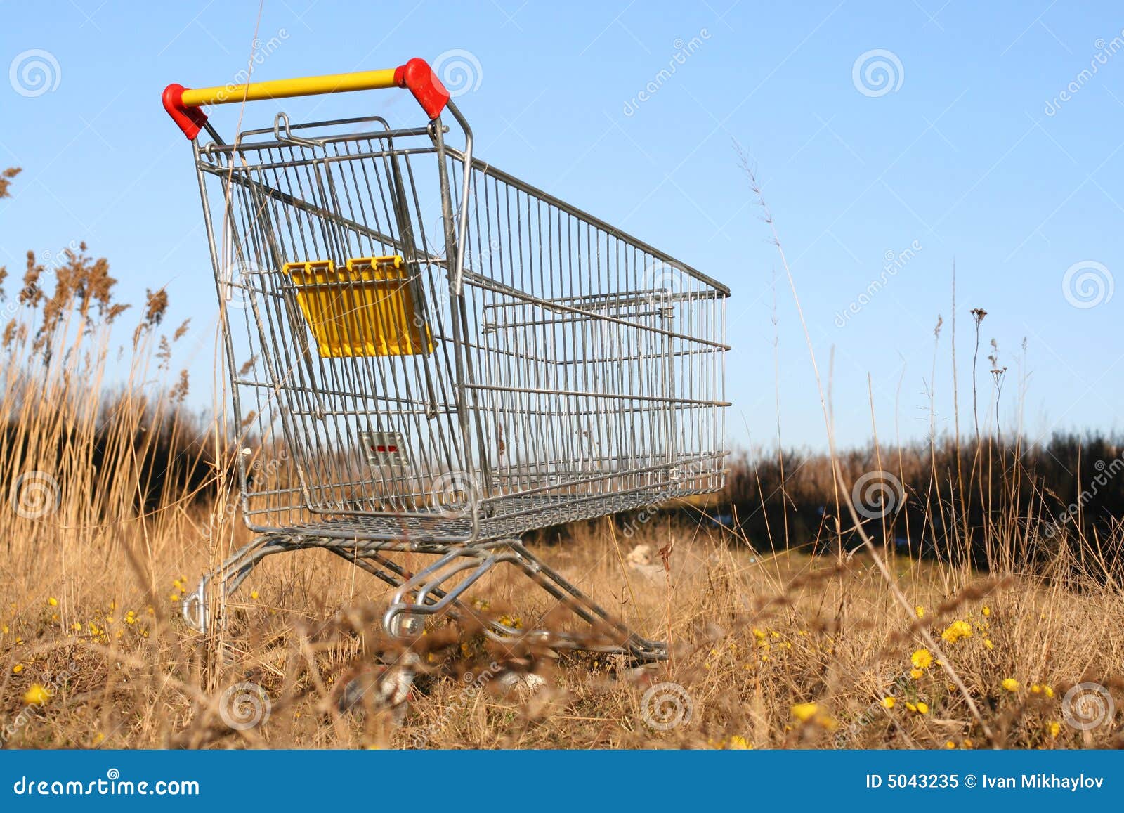 Go shoping cart stock image. Image of gift, cart, business - 5043235
