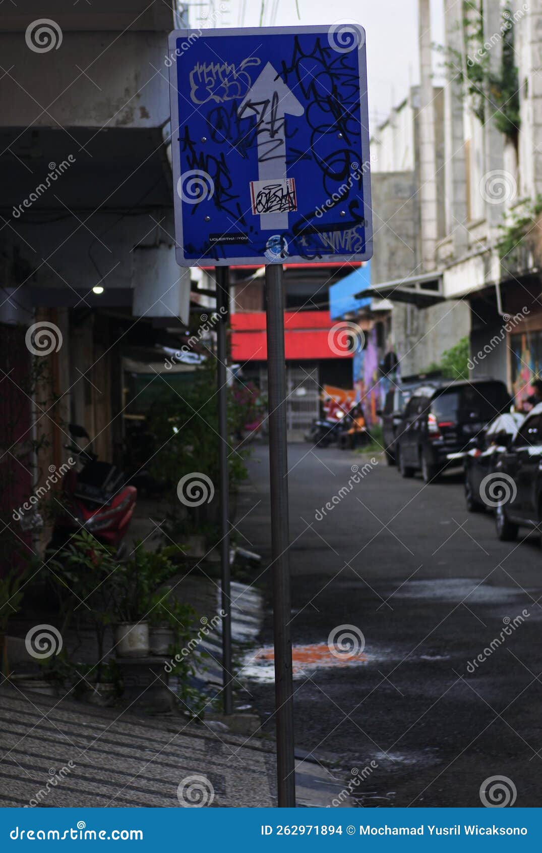 Go Straight Sign stock photo. Image of pedestrian, sign - 262971894
