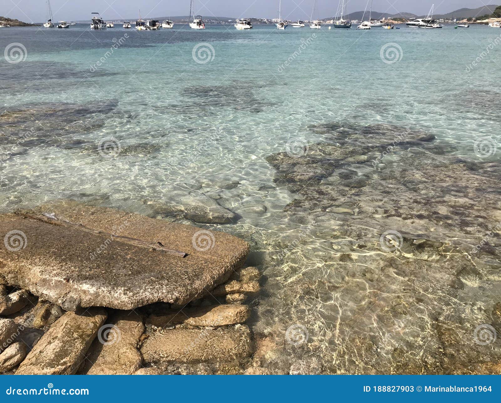 This is Cala Comtessa Beach Stock Image - Image of trees, coast: 188827903