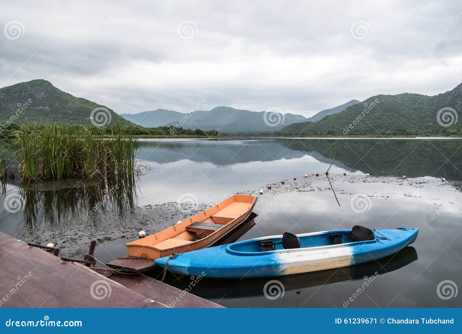 Go to the nature stock image. Image of wallpaper, landscapes - 61239671