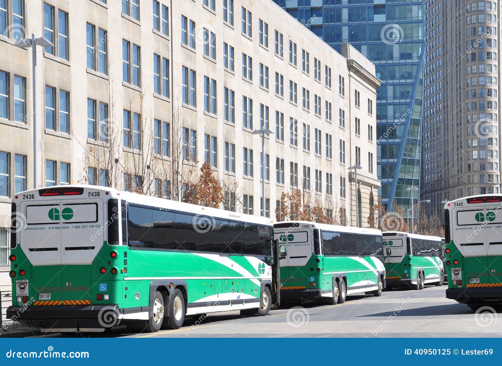 Go transit buses editorial image. Image of corporations - 40950125