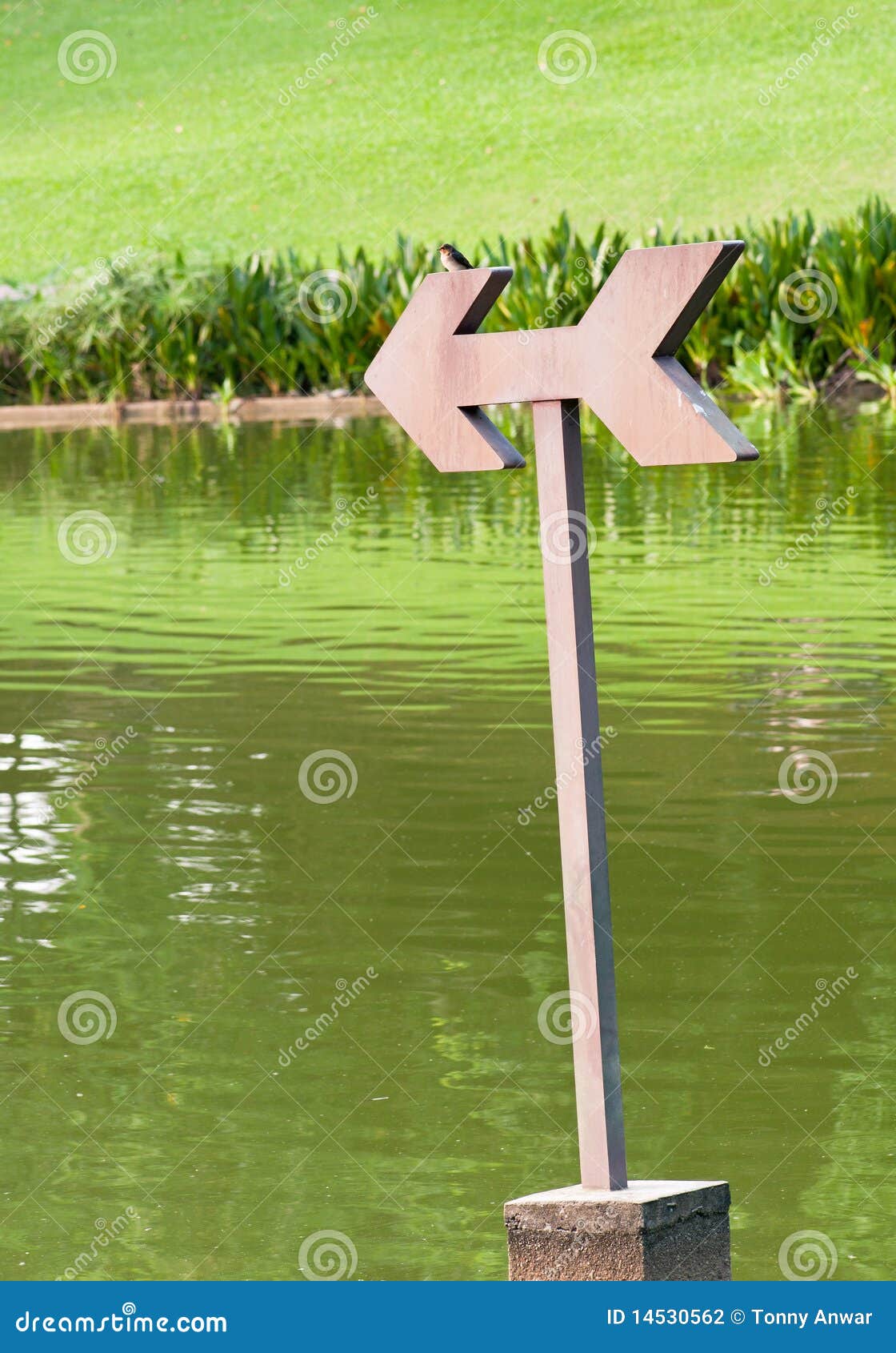 Go West (Arrow Symbol and Migrating Bird) Stock Photo - Image of bird ...
