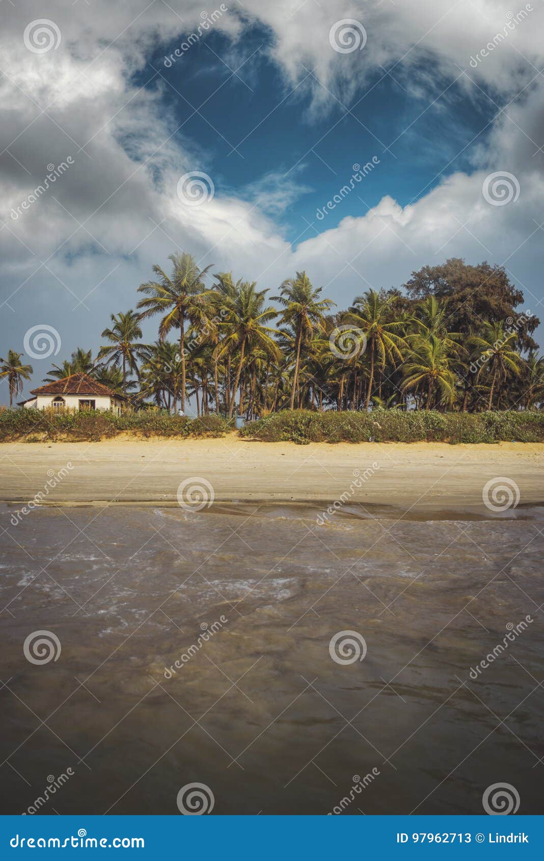 Goa beach with palm trees stock image. Image of ocean - 97962713
