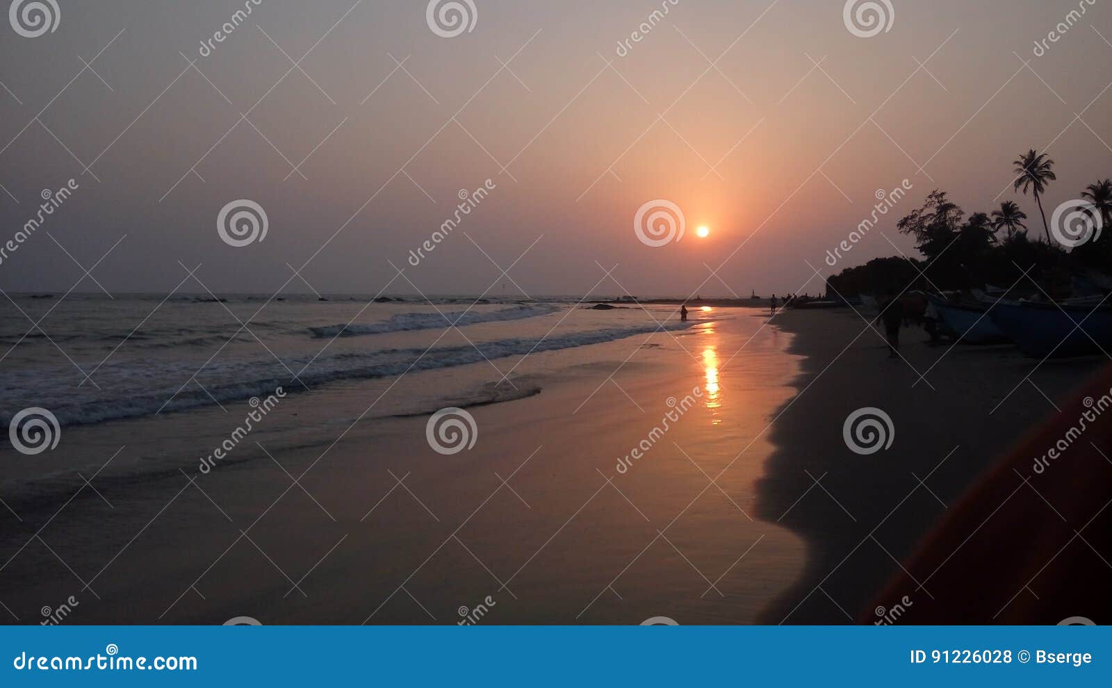 Goa beach stock photo. Image of turtle, riff, beach - 91226028