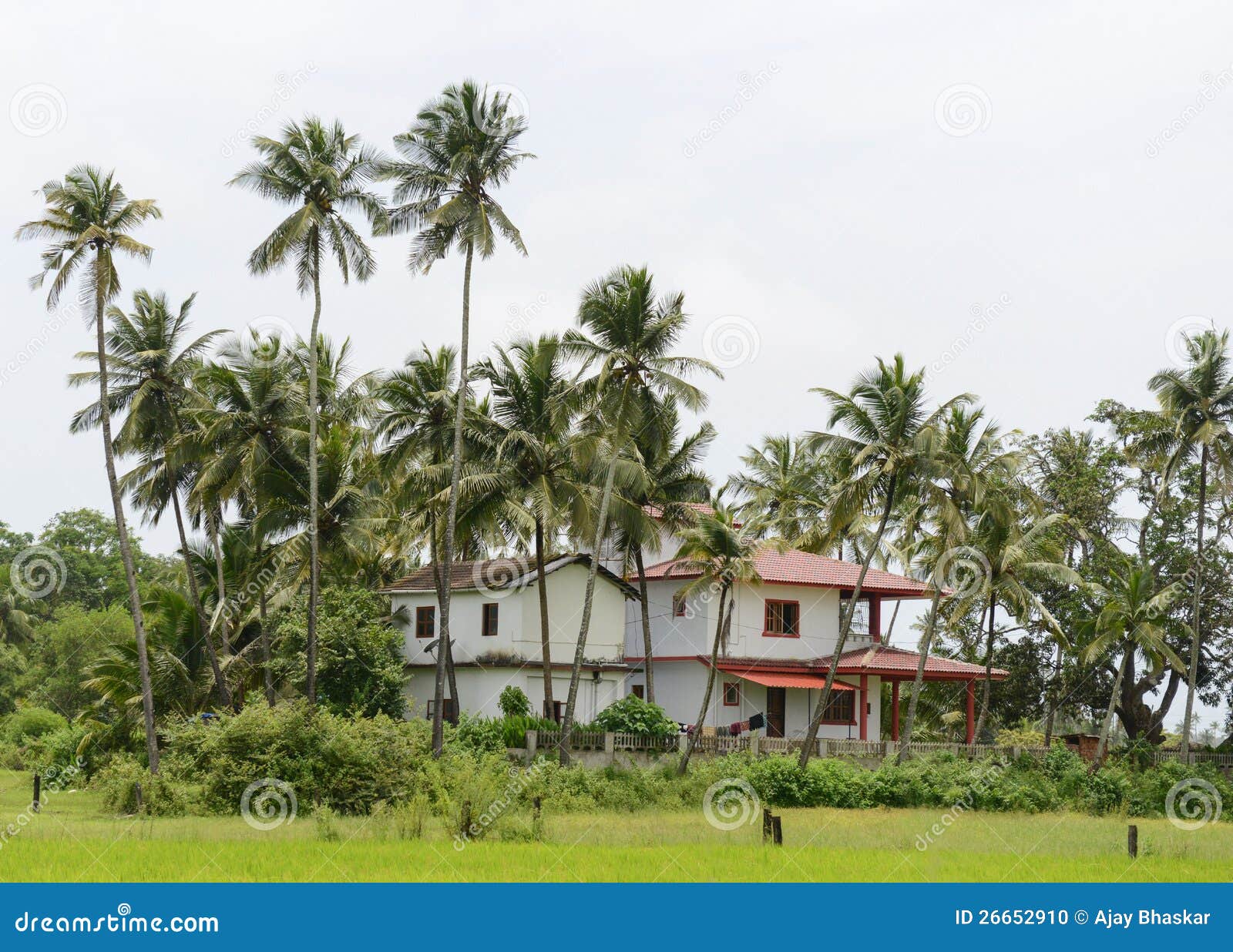 Goa, India stock photo. Image of rural, tourist, vacation - 26652910