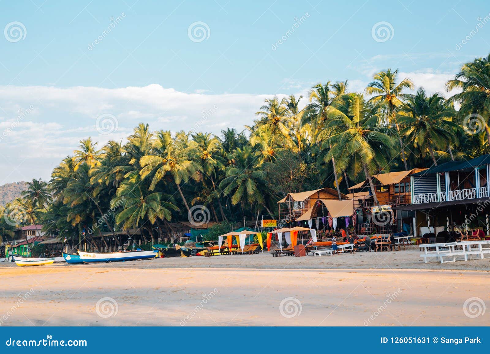 Palolem Beach with Palm Trees in Goa, India Editorial Photo - Image of ...