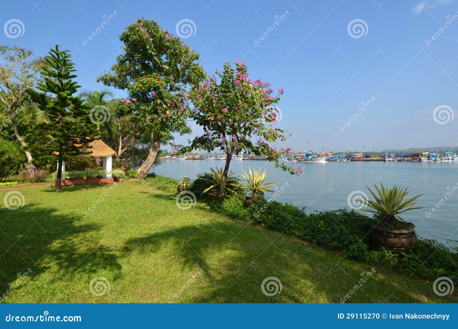 Goa landscapes stock photo. Image of landscapes, palm - 29115270