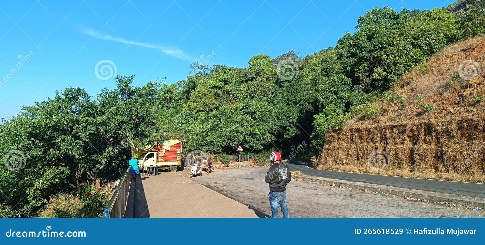 Goa Road in forest area editorial stock image. Image of beach - 265618529