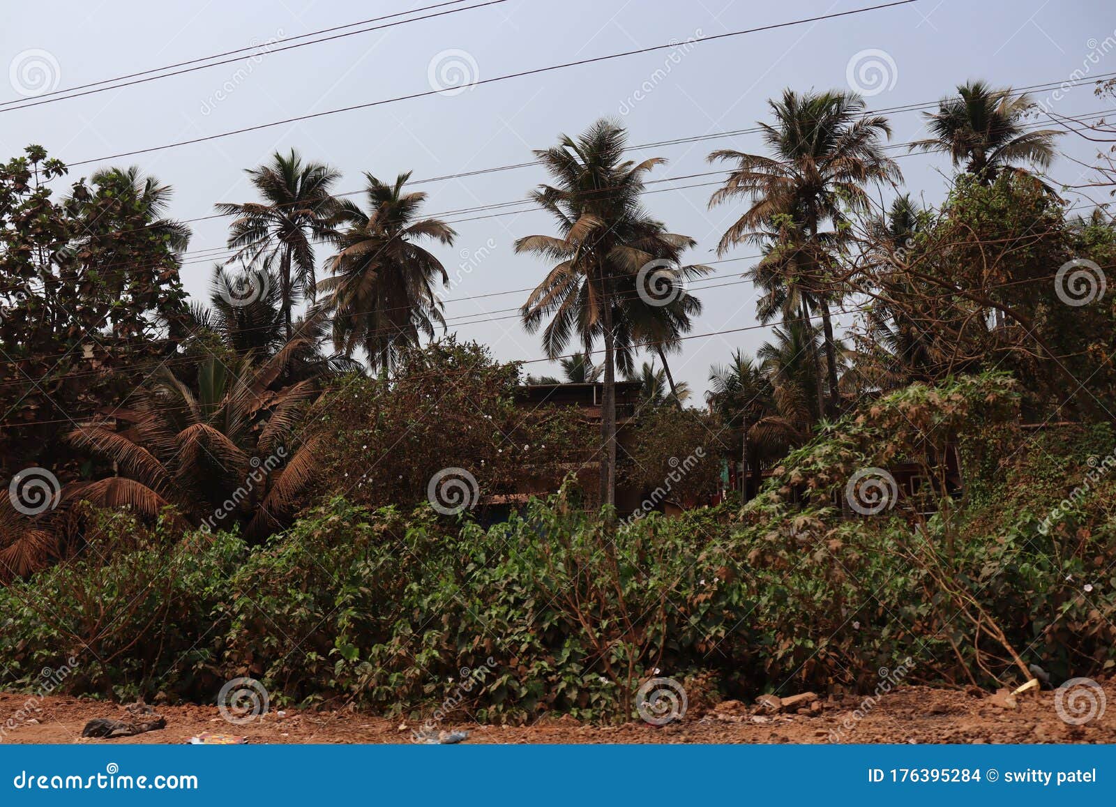 Goa road side view stock photo. Image of trees, view - 176395284