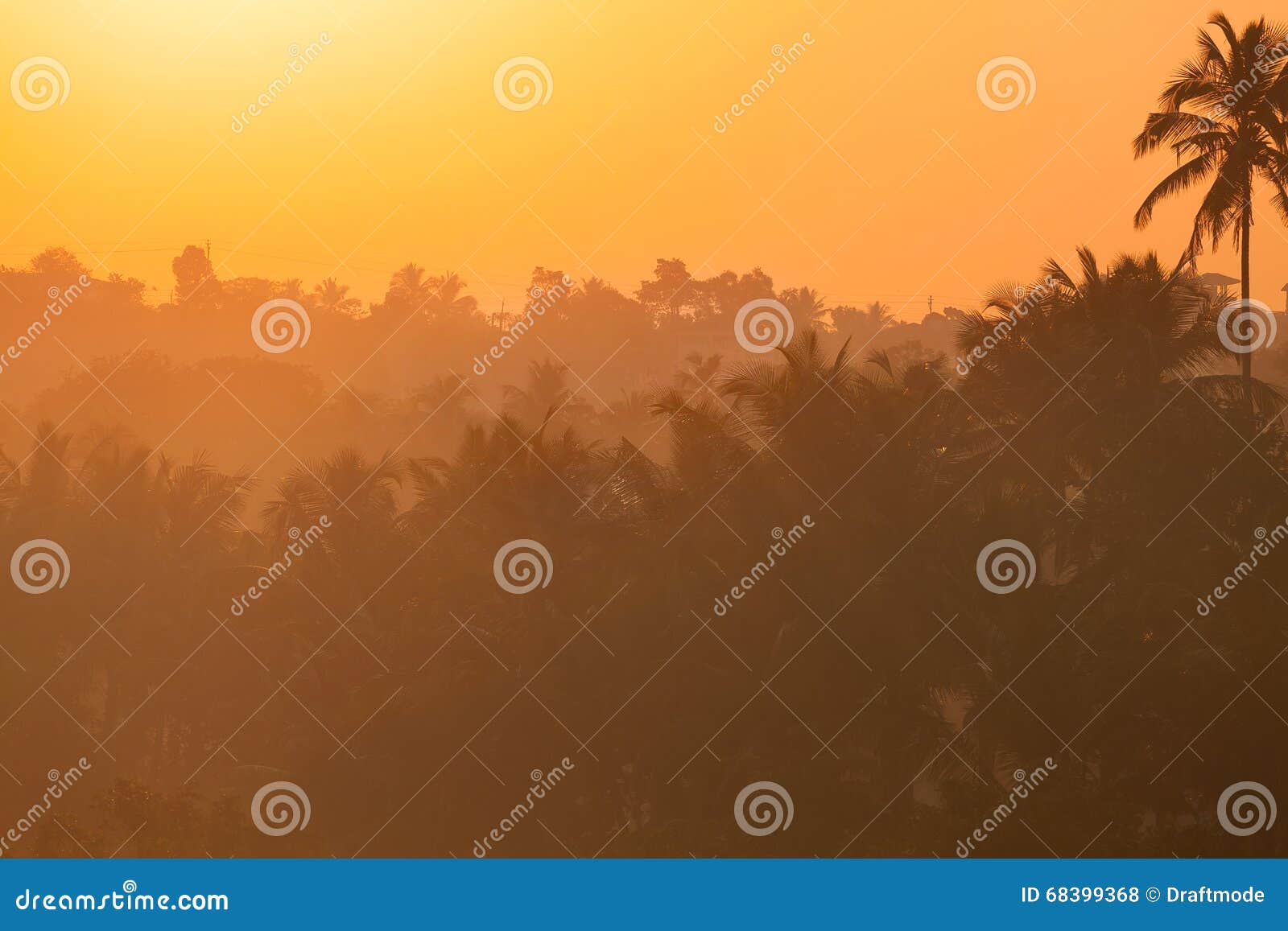 Goa sunrise stock photo. Image of tree, palm, travel - 68399368