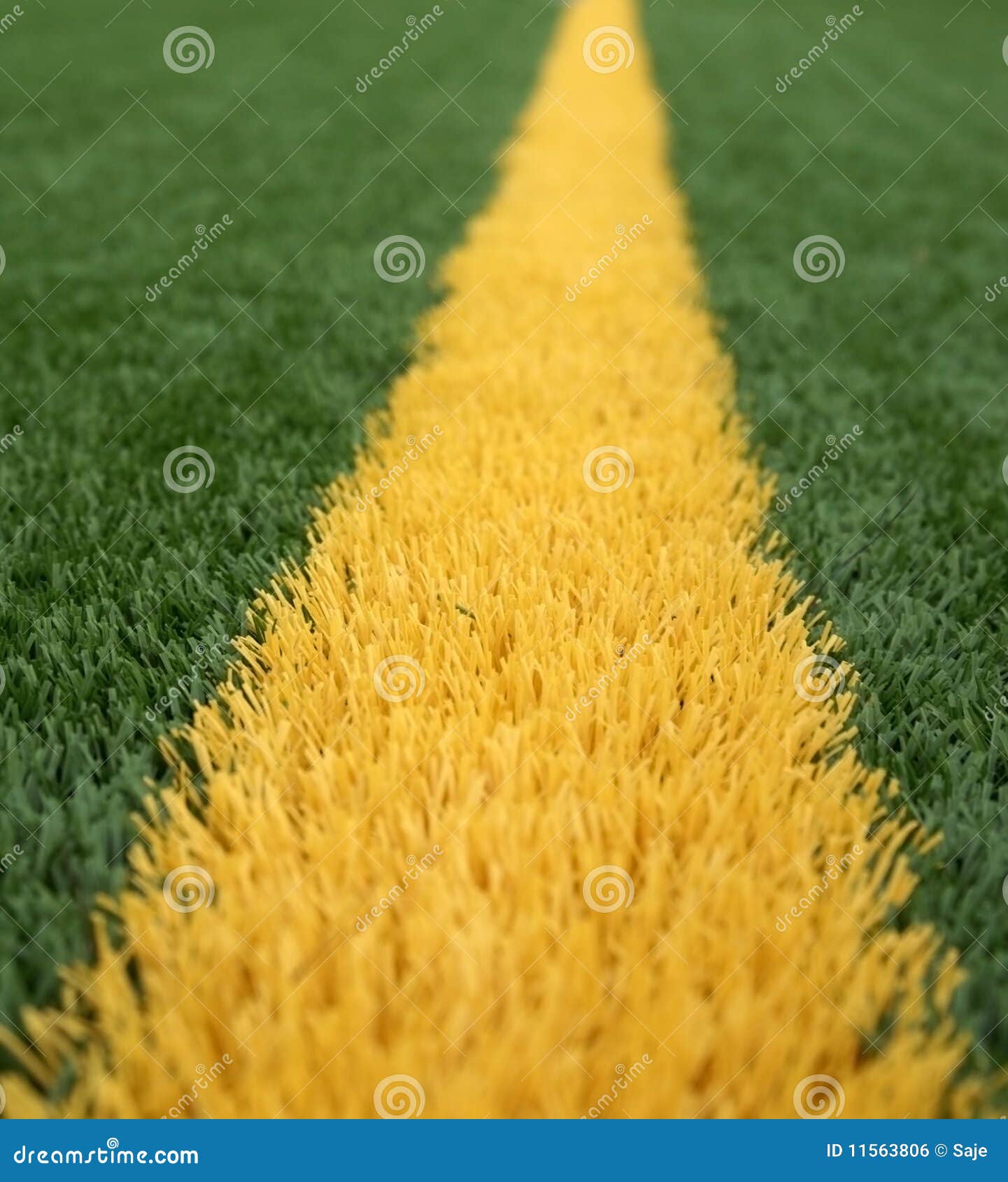 Goal Line stock photo. Image of turf, blades, grass, line - 11563806