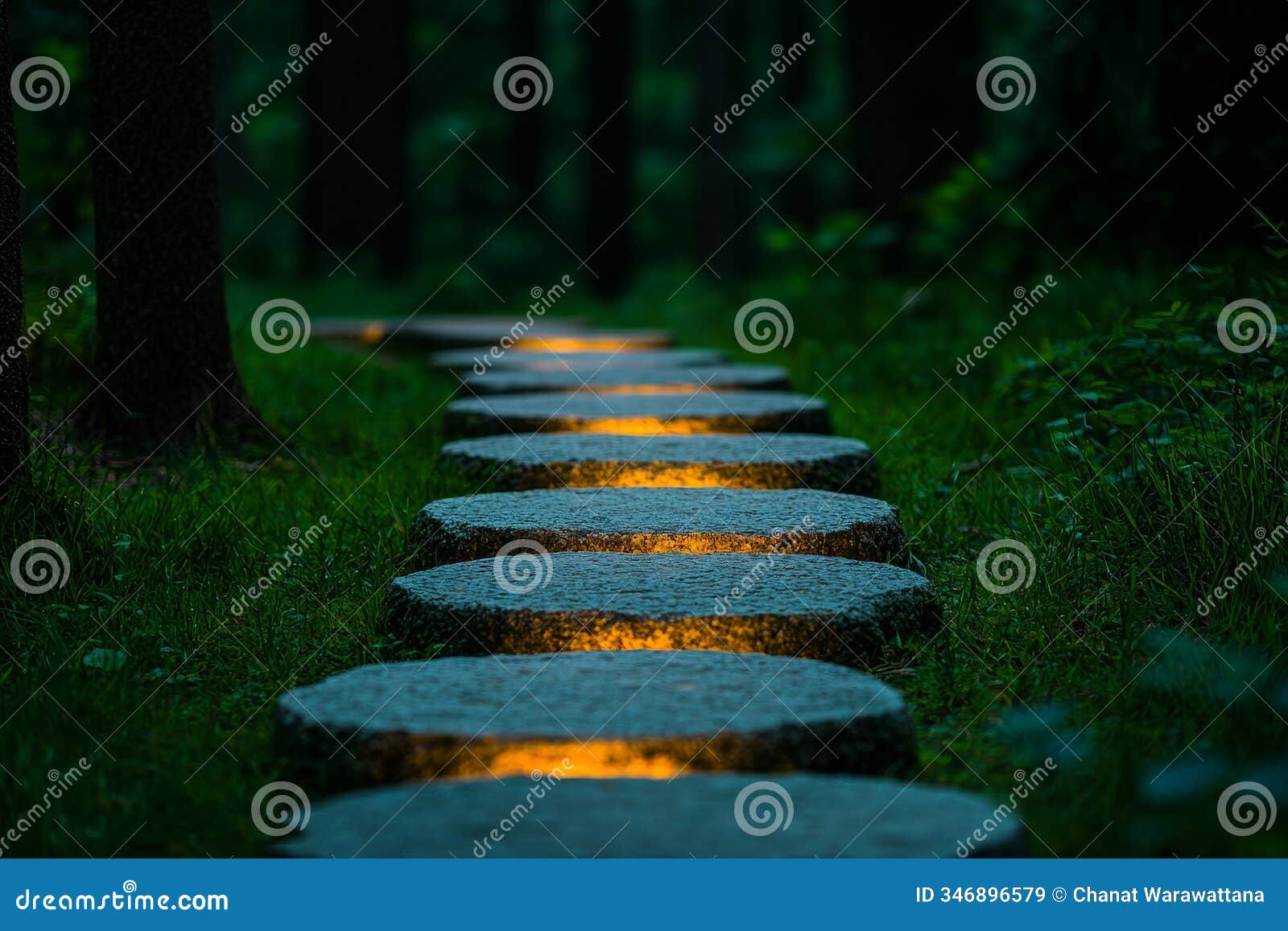Goal Setting Steps Concept Illuminated Stone Pathway Surrounded by Lush ...