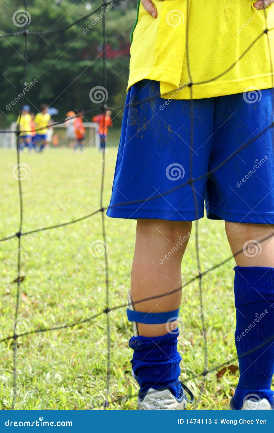 Goalkeeper Waiting for Action Stock Image - Image of competition, field ...