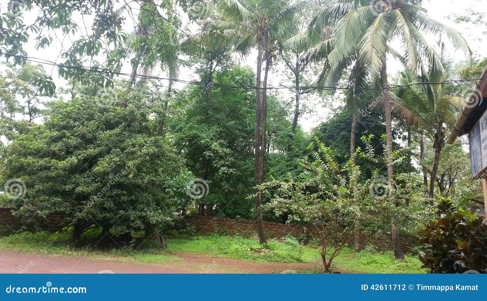 A Goan village editorial photography. Image of goan, amply - 42611712