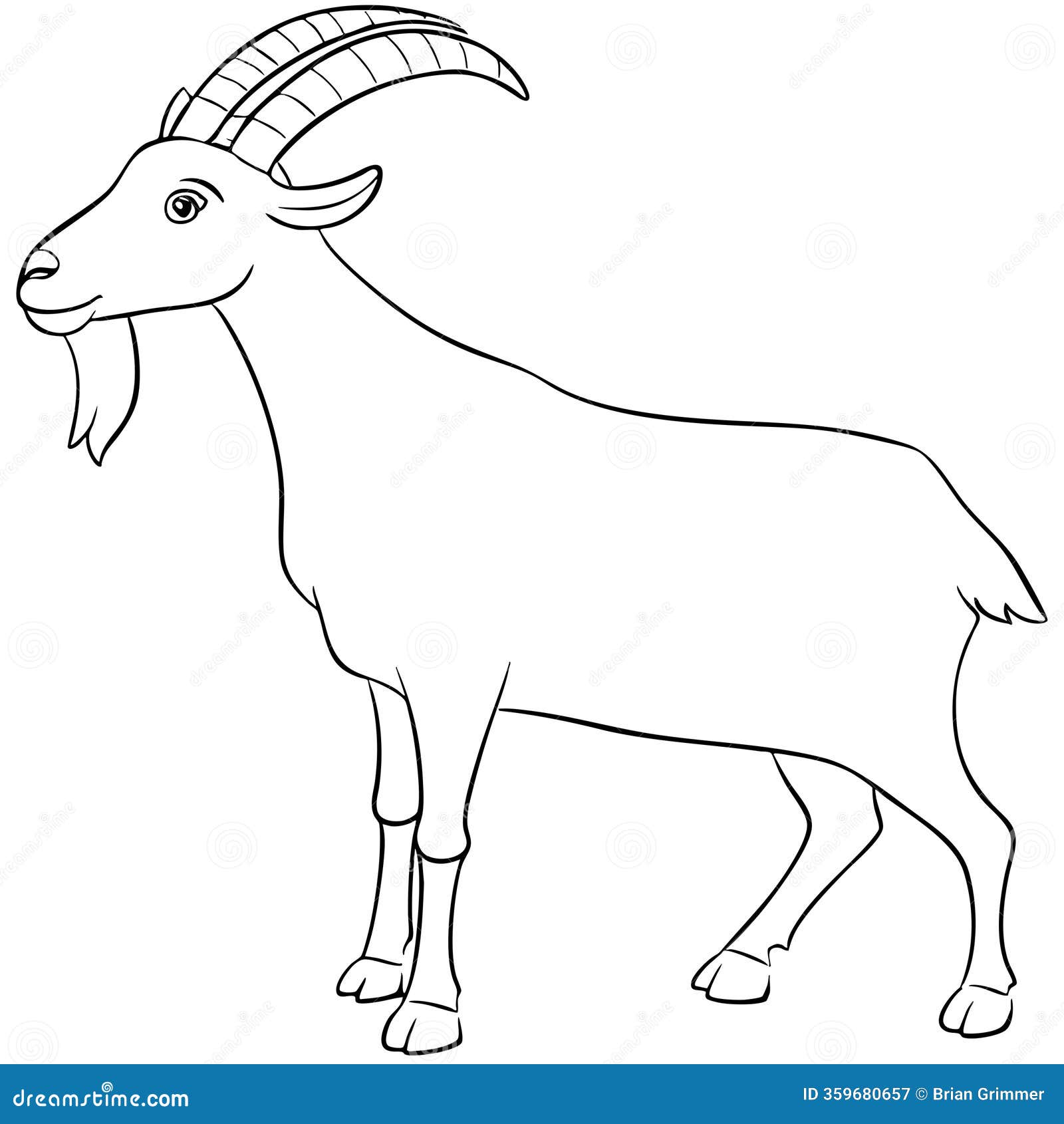 Line Drawing of a Goat with Curved Horns Stock Vector - Illustration of ...