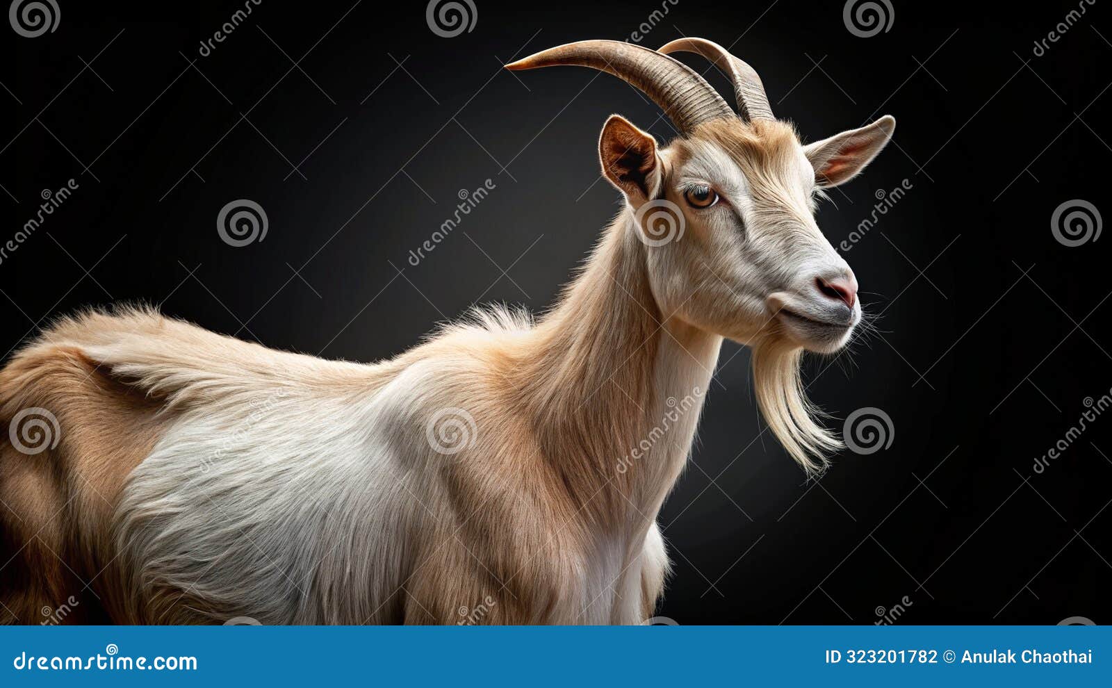 Goat Top View Agriculture Wild Farming Animal Vector. Silhouette Flat ...