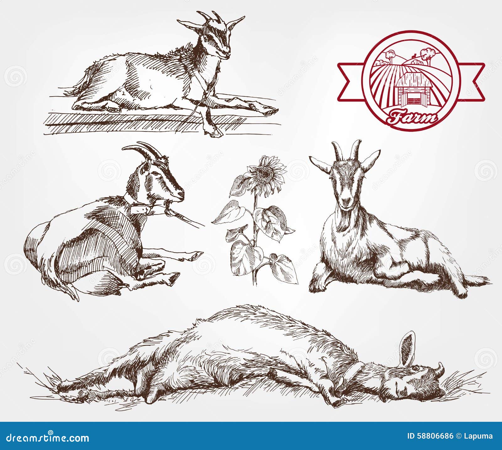 Goat breeding stock vector. Illustration of pose, goat - 58806686