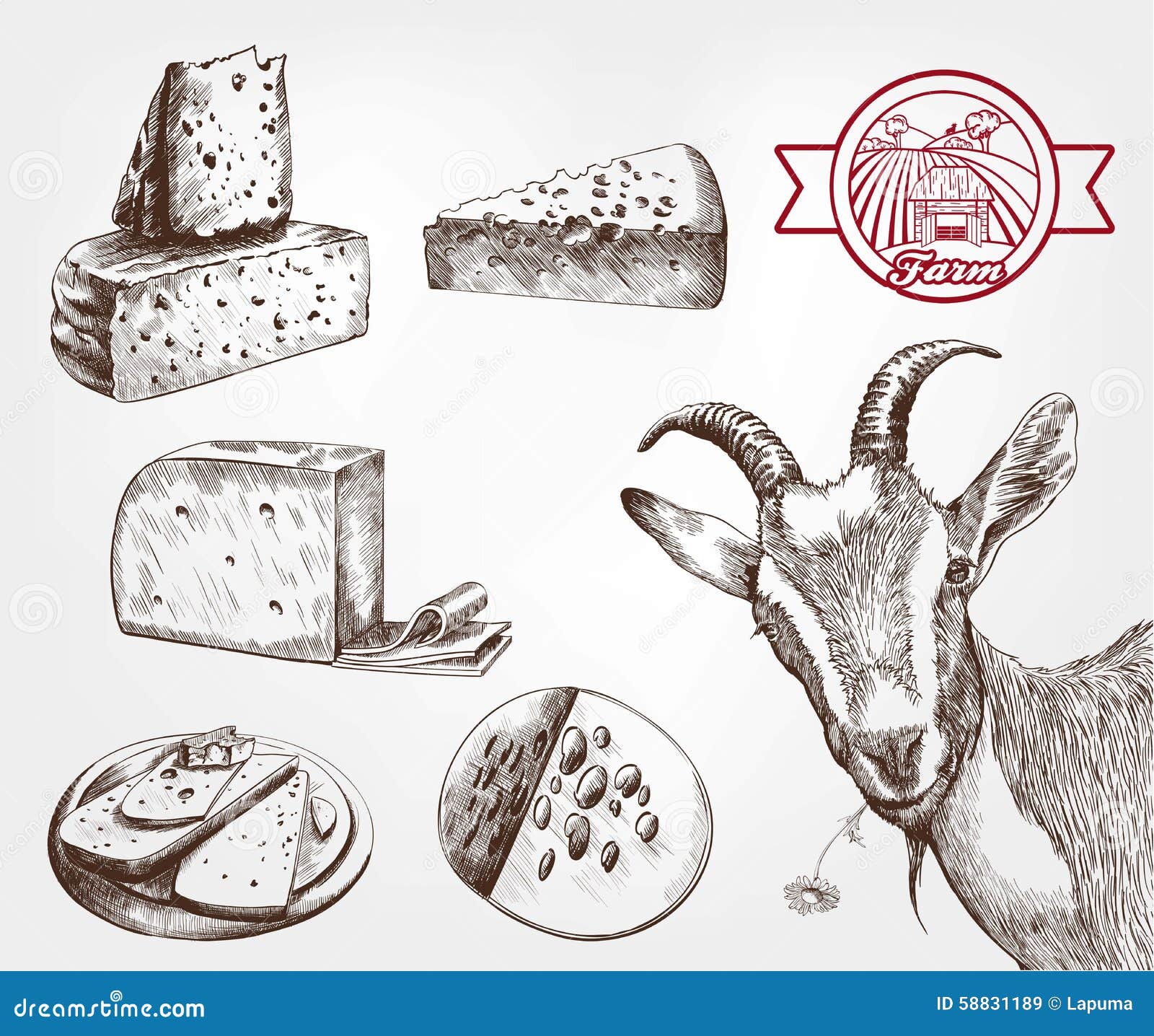 Goat Breeding Vector Illustration | CartoonDealer.com #58806452