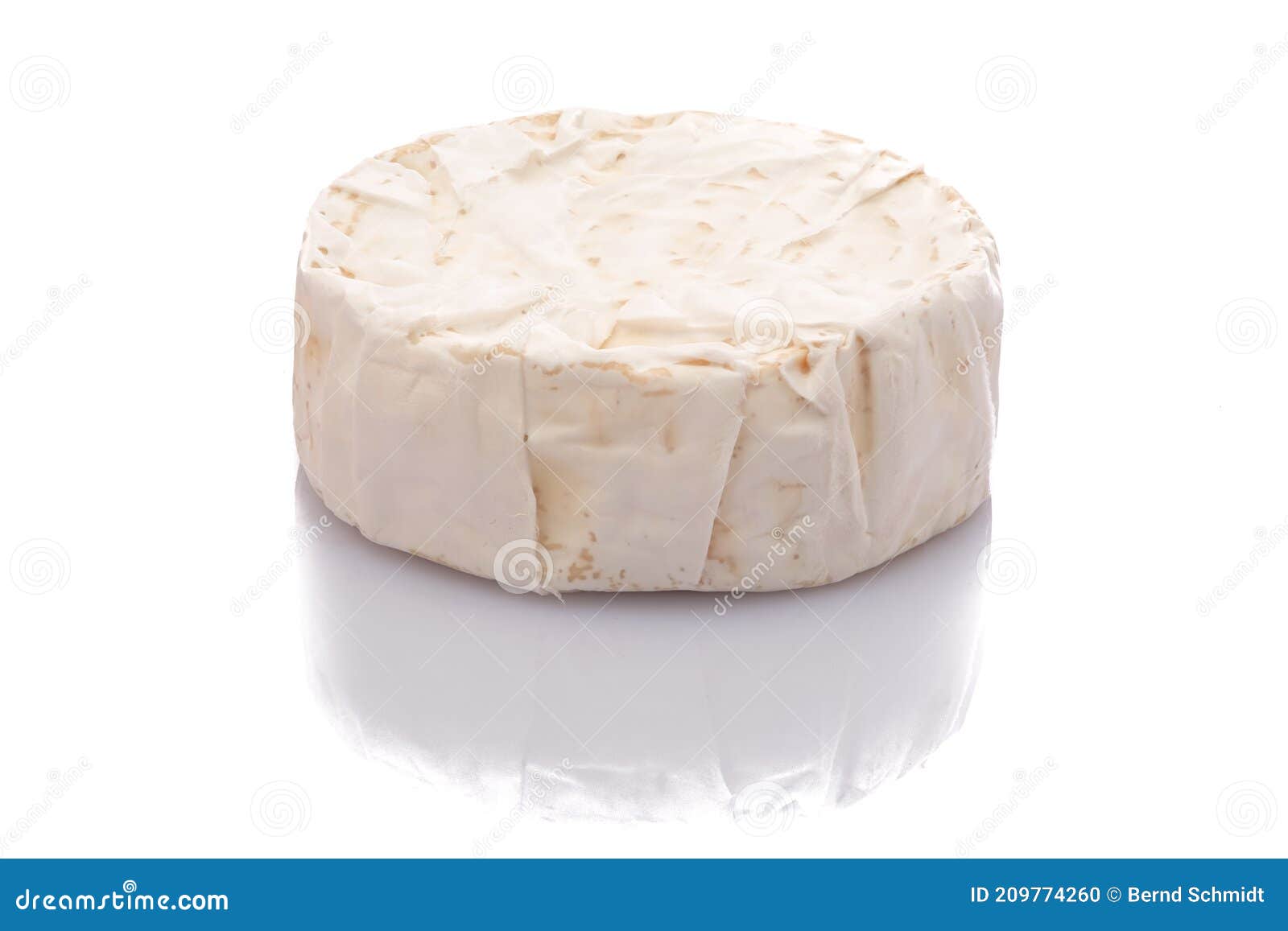 Goat camembert cheese stock photo. Image of appetizer - 209774260