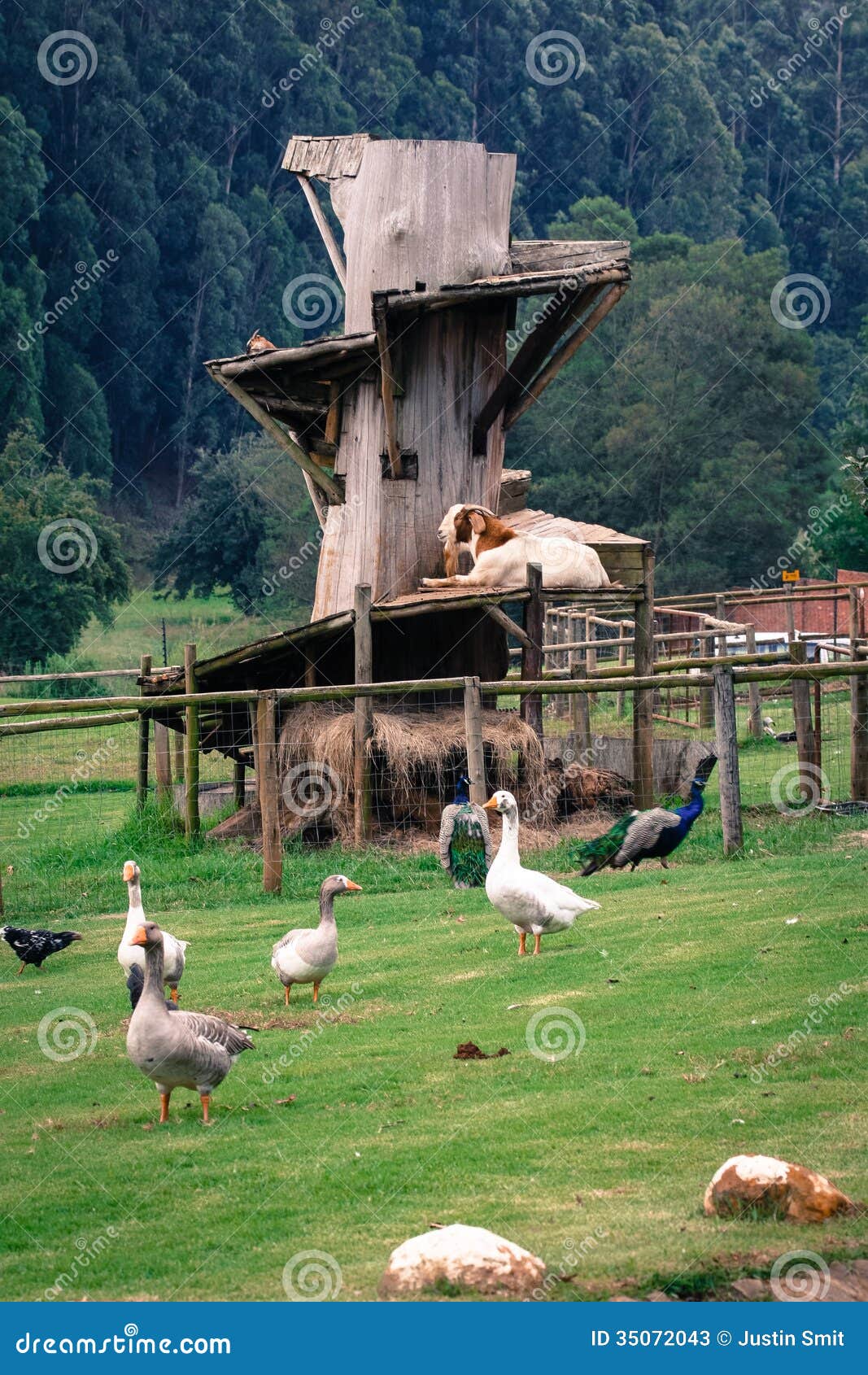 Goat Castle stock image. Image of goat, platform, tower - 35072043