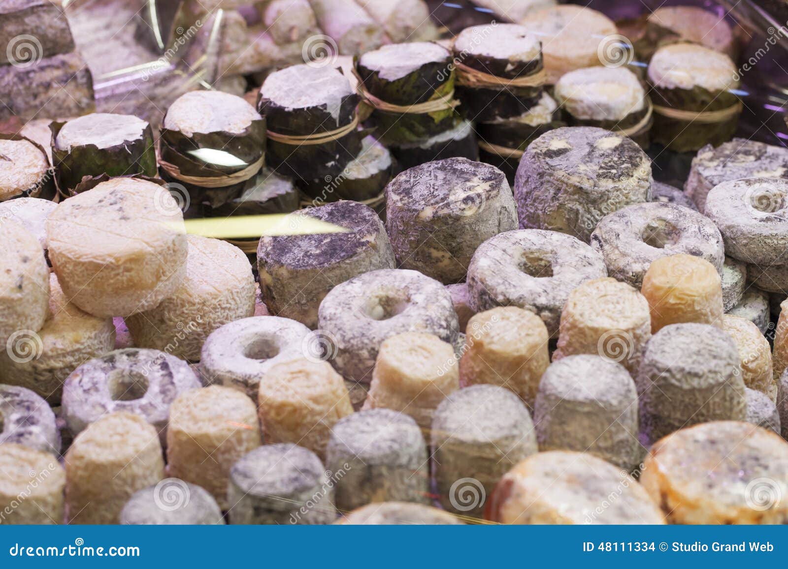 Goat Cheese Assortment at Various Refinement Stages Stock Photo - Image ...