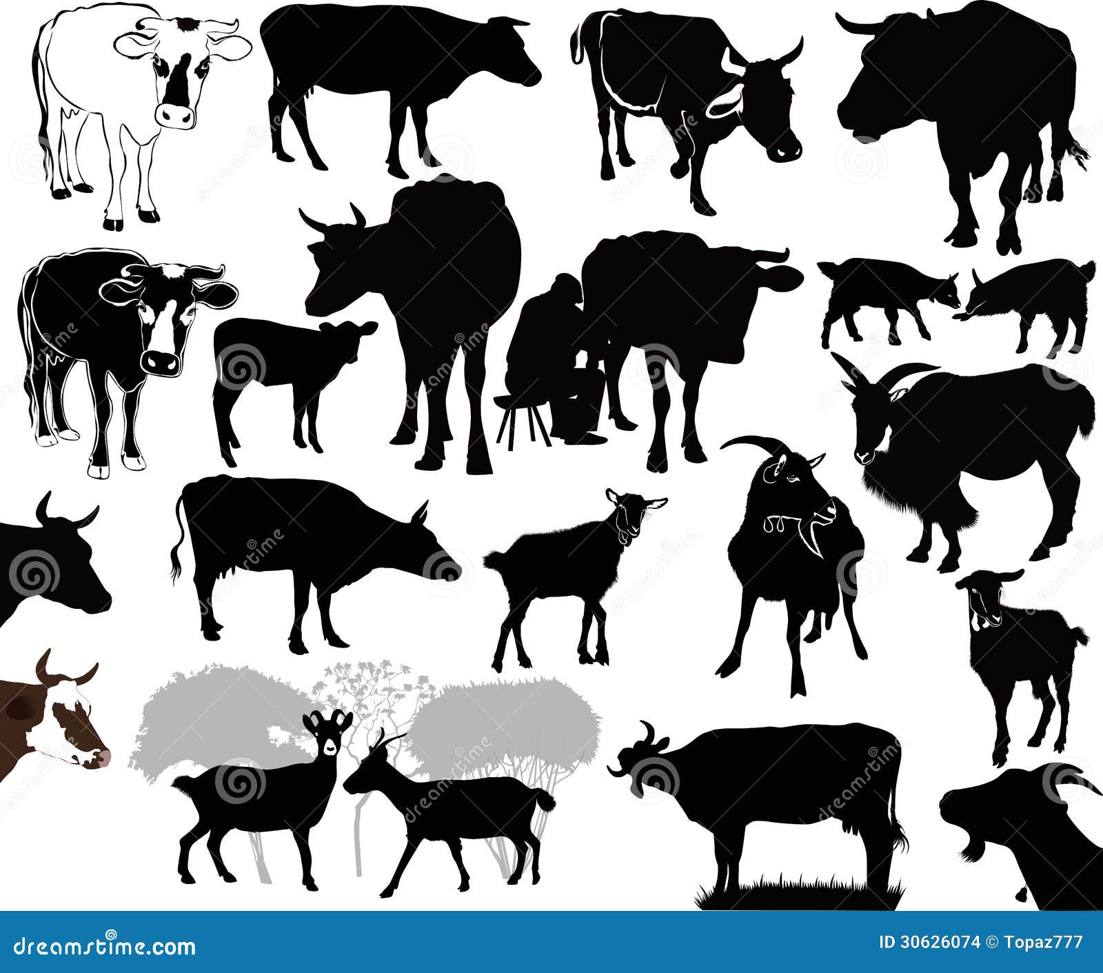 Goat Cow Animals Calf Isolated Stock Vector - Illustration of ... Goat Cow Animals Calf Isolated Stock Vector - Illustration of ...