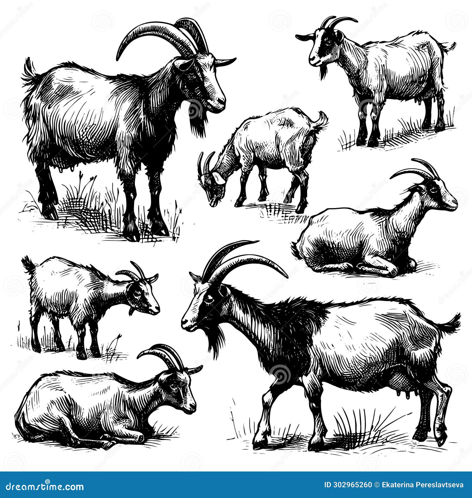 Goat Farm Hand Drawn Sketch Cattle Farm Vector Illustration Stock ...