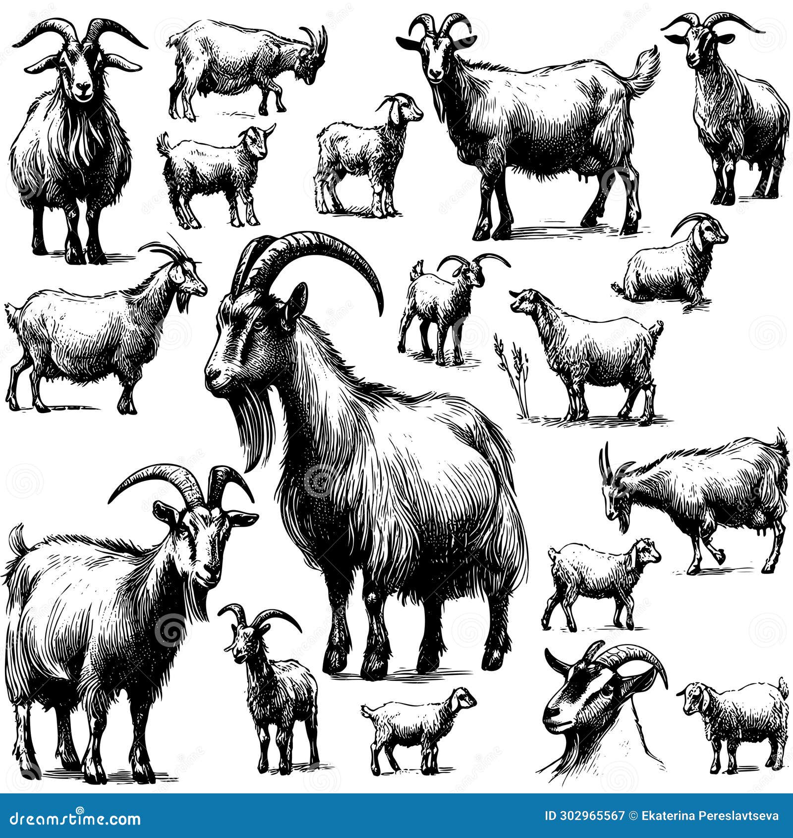 Goat Farm Hand Drawn Sketch Cattle Farm Vector Illustration Stock ...