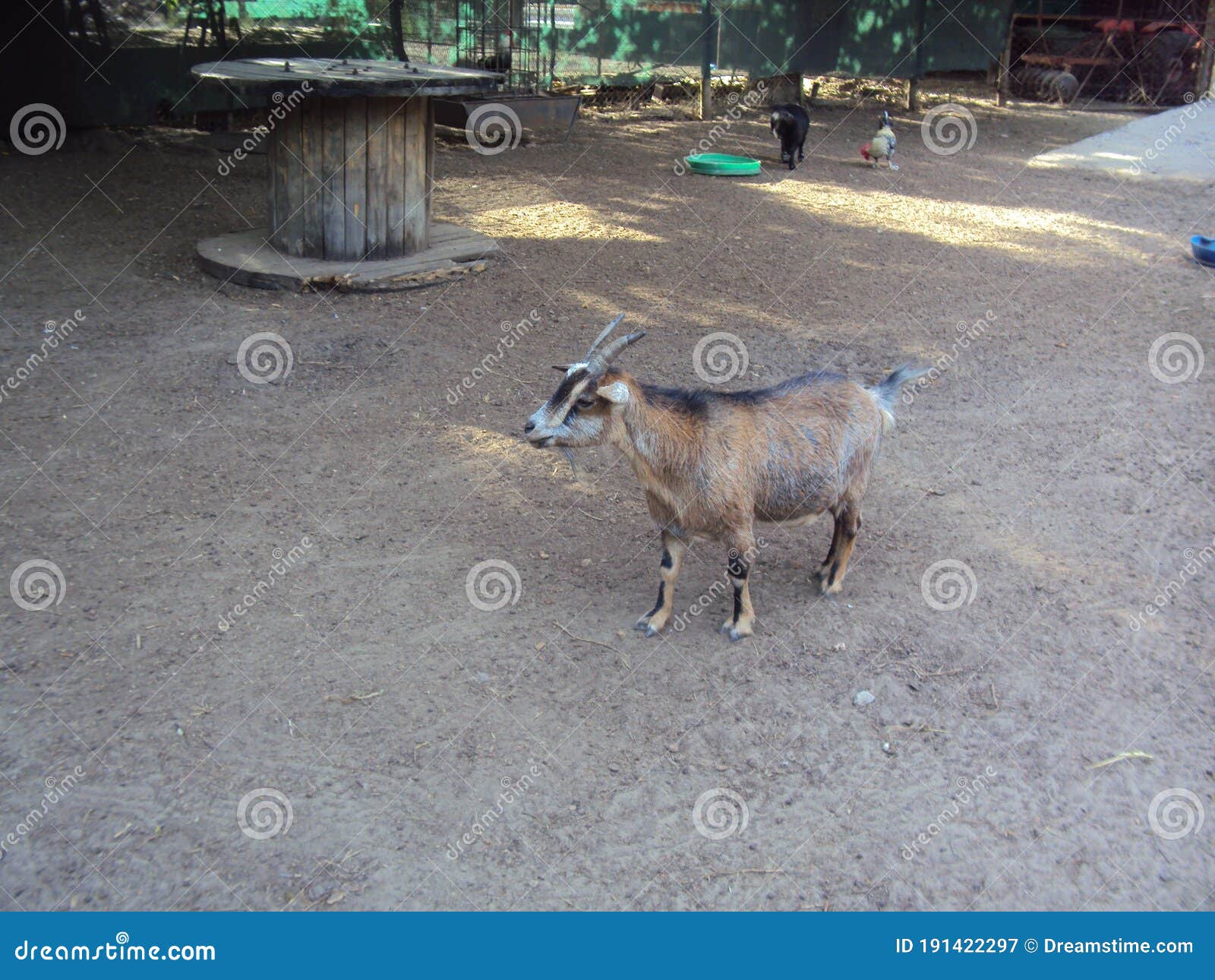 Farm Pgoto Stock Photos - Free & Royalty-Free Stock Photos from Dreamstime