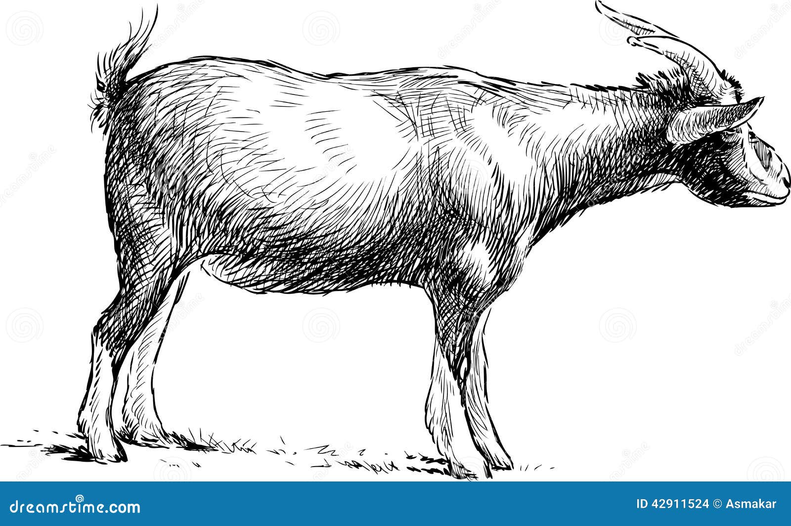 Goat grazing stock vector. Illustration of animal, horned - 42911524