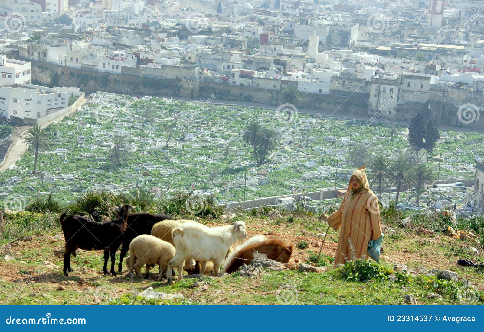 Goat keaper editorial photography. Image of outdoors - 23314537