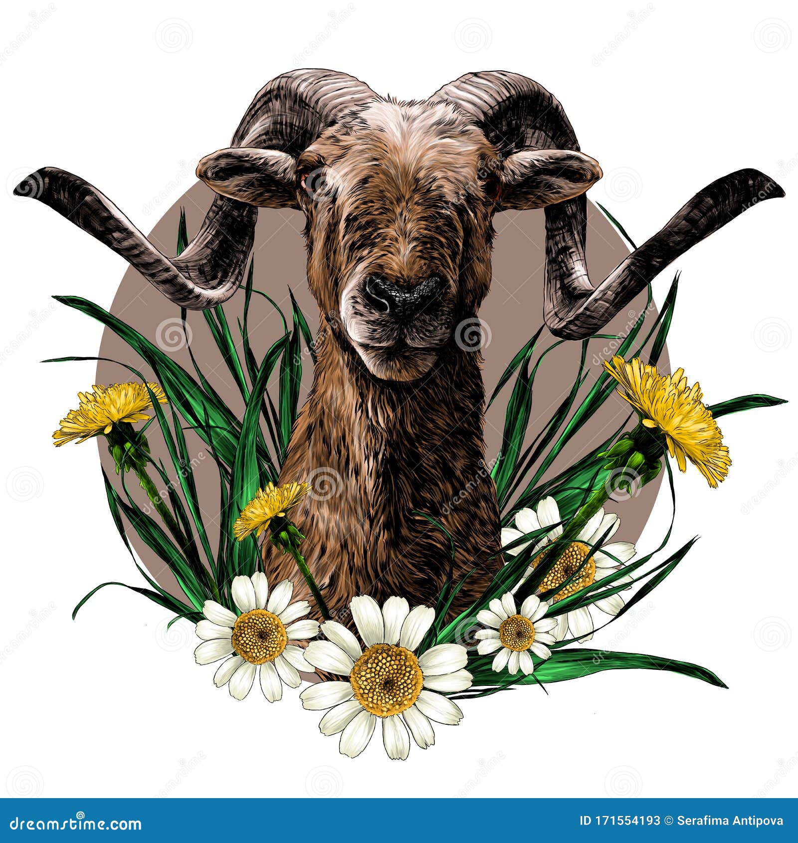 Symmetrical Goat Stock Illustrations – 18 Symmetrical Goat Stock ...