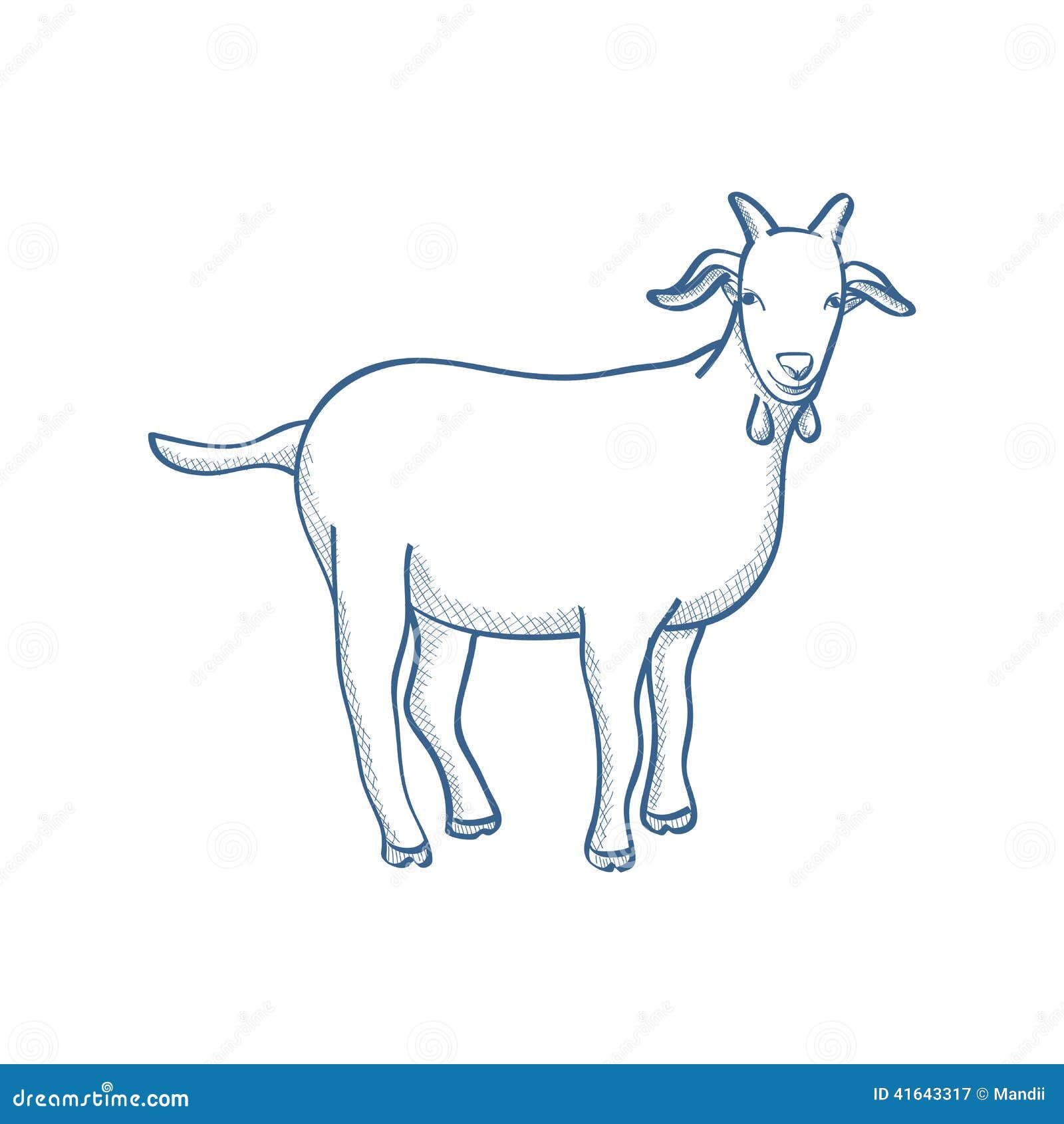 Goat stock illustration. Illustration of graphic, wildlife - 41643317