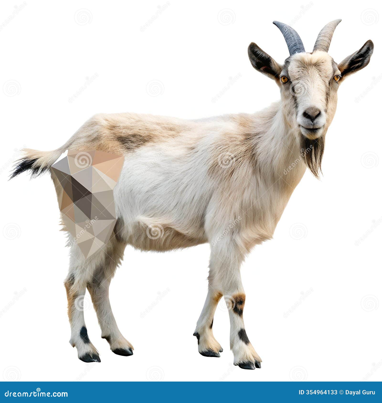 Goat Low Poly Art Isolated on White Background Stock Illustration ...